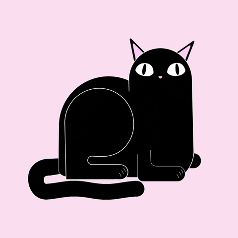 Witches Cat GIFs - Get the best GIF on GIPHY