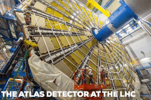 Atlas Lhc GIF by CERN - Find & Share on GIPHY