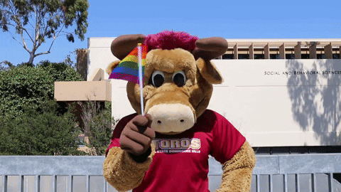 CSUDHTeddyToro GIF - Find & Share on GIPHY