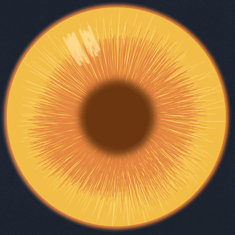 Glossy Yellow GIFs - Get the best GIF on GIPHY