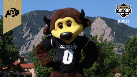 College Sports Colorado GIF by College Colors Day - Find & Share on GIPHY