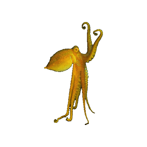 Real Cephalopod Sticker Pack GIFs on GIPHY - Be Animated