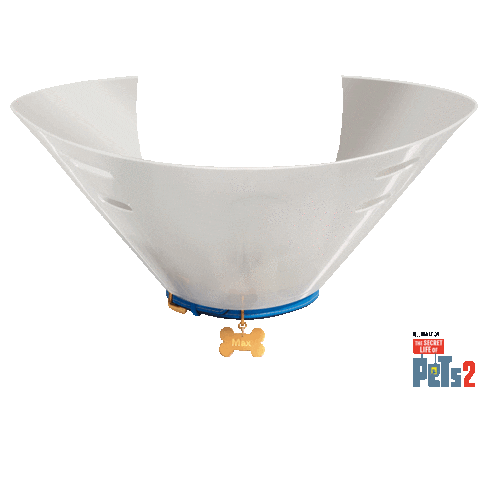 The Secret Life Of Pets GIFs on GIPHY - Be Animated