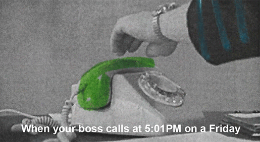 When Your Boss Calls GIFs - Get the best GIF on GIPHY