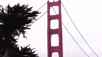 California Highway Patrol GIFs - Find & Share on GIPHY