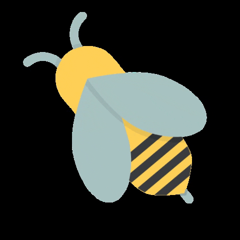 Fly Flying GIF by SubtitleBee - Find & Share on GIPHY