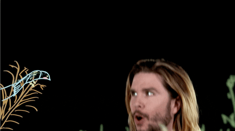 Bye Bird GIFs - Get the best GIF on GIPHY