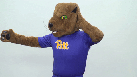 ROC The Panther by Pitt Panthers | GIPHY