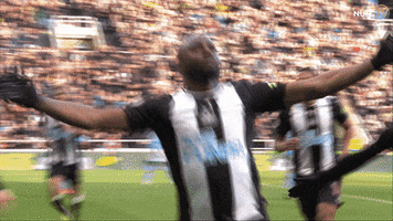 Newcastle United GIF by Newcastle United Football Club - Find & Share ...