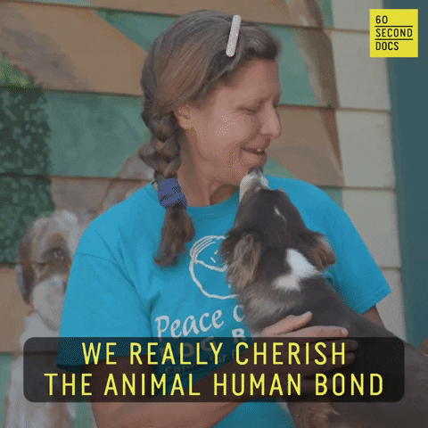 Animated Humans GIFs - Get the best GIF on GIPHY