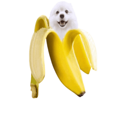 Doge Banana