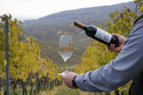Hungarianwinelover GIFs - Get the best GIF on GIPHY
