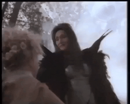 Wicket W Warwick GIFs - Get the best GIF on GIPHY