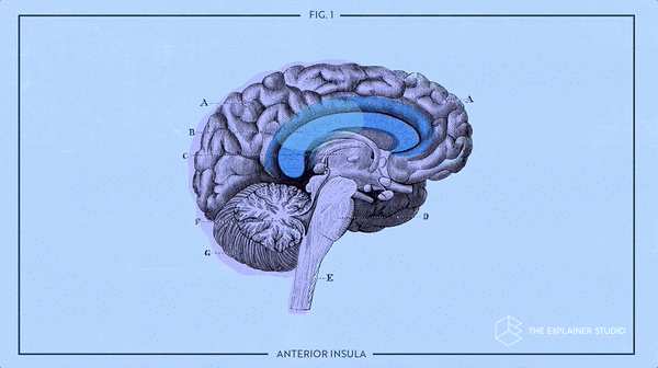Animation Brain GIF by The Explainer Studio - Find & Share on GIPHY