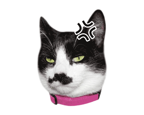 Catwang Stickers