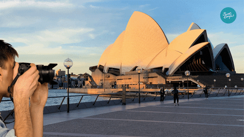 Travel Holiday GIF by SweetEscape - Find & Share on GIPHY