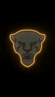 Pitt Panthers GIFs on GIPHY - Be Animated