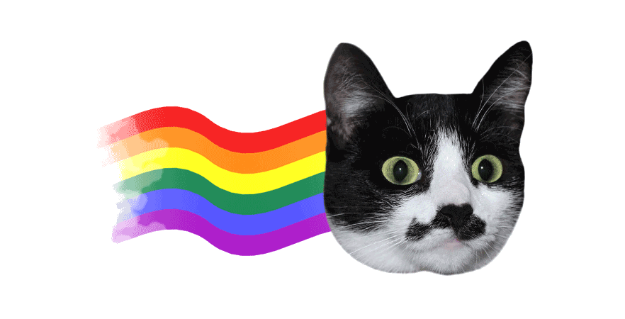 Cat Wow Sticker for iOS & Android | GIPHY