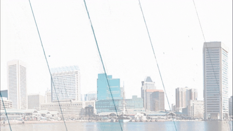 Merriweather Post Pavilion GIFs - Get the best GIF on GIPHY