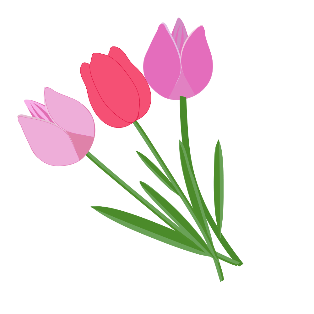 Amsterdam Tulip Sticker by Bloomeffects for iOS & Android | GIPHY