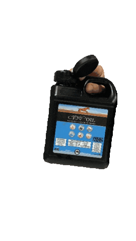 CEN Horse GIFs on GIPHY - Be Animated