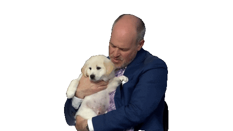 NFL Draft: The Pick Is In GIFs on GIPHY - Be Animated