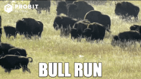 Bull Run Moon GIF by ProBit Global - Find & Share on GIPHY