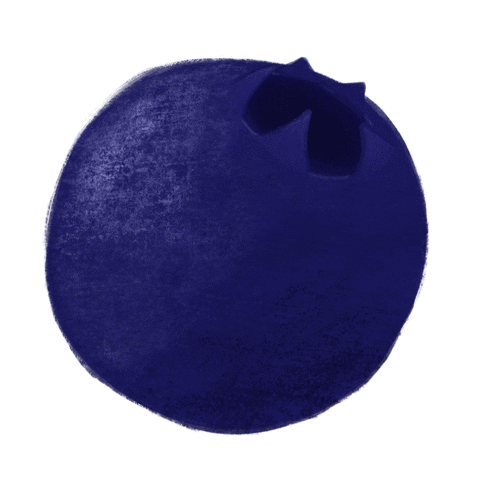 Southern Hill Farms GIFs on GIPHY - Be Animated