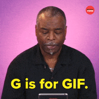 Gifd GIFs - Get the best GIF on GIPHY