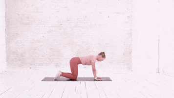 Fitness Workout GIF by 8fit - Find & Share on GIPHY