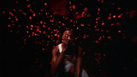 Octavian GIF - Find & Share on GIPHY