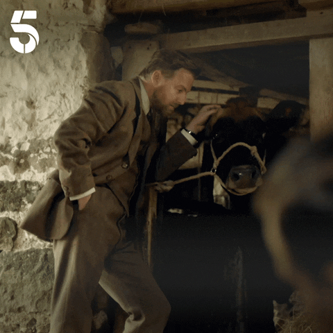 All Creatures Great And Small GIF by Channel5UK - Find & Share on GIPHY