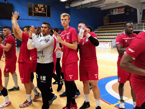 Victory Handball GIF by SMV HB - Find & Share on GIPHY