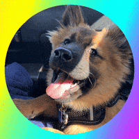 Aesthetic Discord Profile Pictures Gif