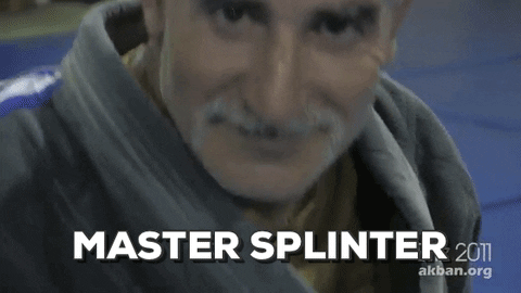 Master-splinter GIFs - Get the best GIF on GIPHY
