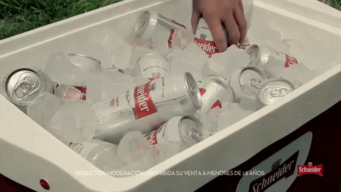 Beer Cerveza GIF by Schneider Arg - Find & Share on GIPHY
