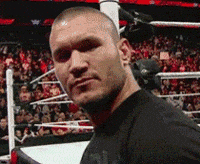Randy Orton Rko Gif