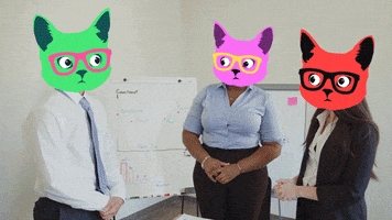 Business Cats GIFs on GIPHY - Be Animated