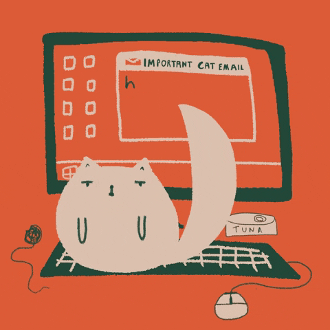 Cats Typing GIF - Find & Share on GIPHY