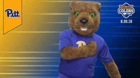 College Sports Mascots GIF by College Colors Day - Find & Share on GIPHY
