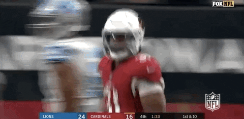 Arizona Cardinals Football GIF by NFL - Find & Share on GIPHY
