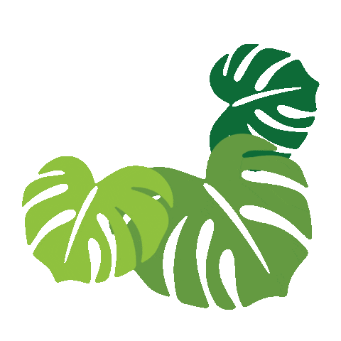 Leaf Sticker for iOS & Android | GIPHY