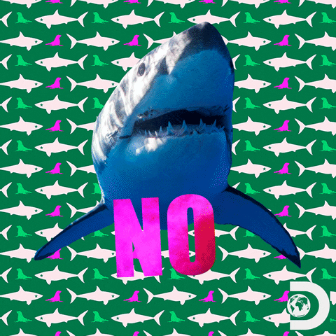 Mo-senpai-shark GIFs - Get the best GIF on GIPHY