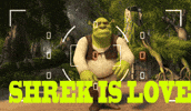 Confused Shrek GIFs - Find & Share on GIPHY
