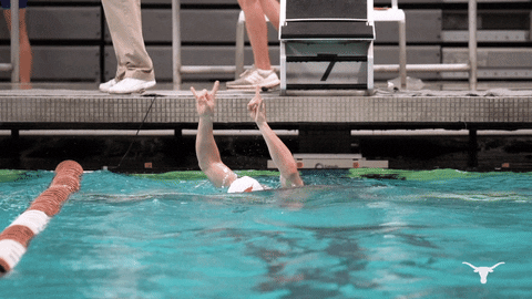 Diving Swimming GIF by Texas Longhorns - Find & Share on GIPHY
