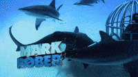 Mark-rober GIFs - Get the best GIF on GIPHY