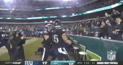 2019 Nfl Football GIF by NFL - Find & Share on GIPHY