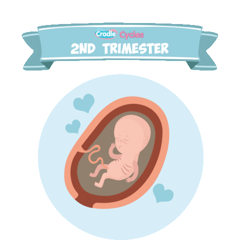 New Life Family Sticker by Cycles Baby for iOS & Android | GIPHY