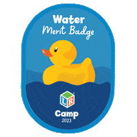 Camp Merit Badges GIFs on GIPHY - Be Animated