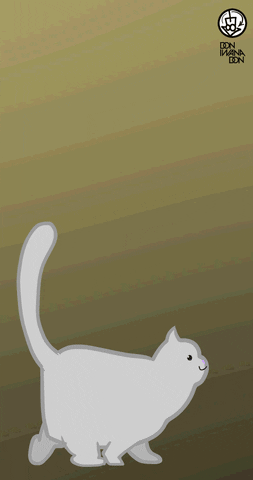 Walking Around Fat Cat GIF - Find & Share on GIPHY